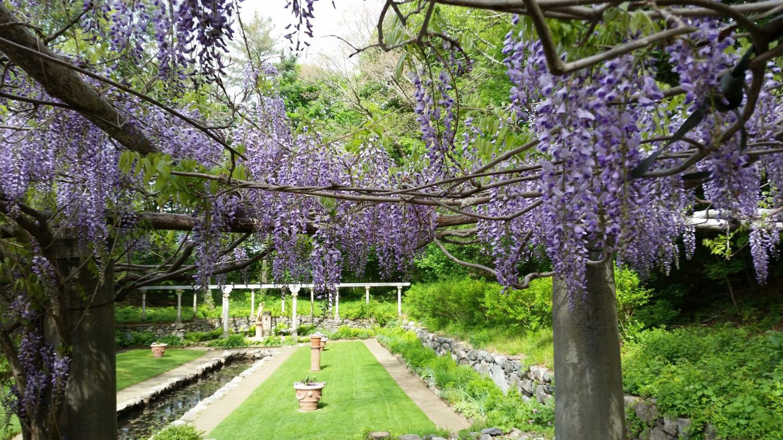 Codman Estate Carriage House And Gardens | East Meets West Catering